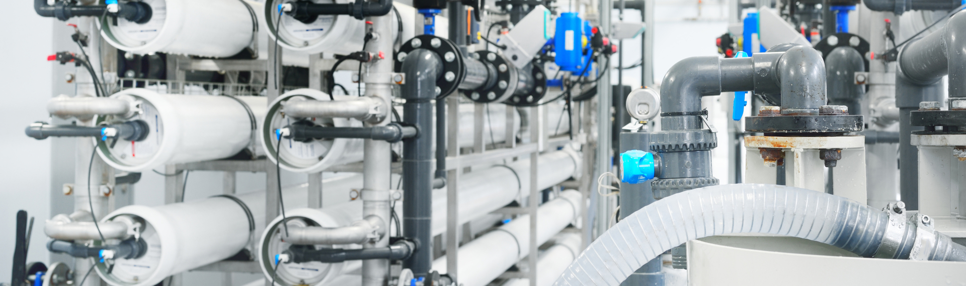 Images - All Documents